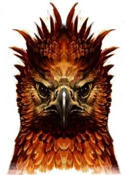 Edward Tonks | Everything Black Wiki | Fandom