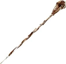 Staff of Worms | Everythingoblivion Wiki | Fandom