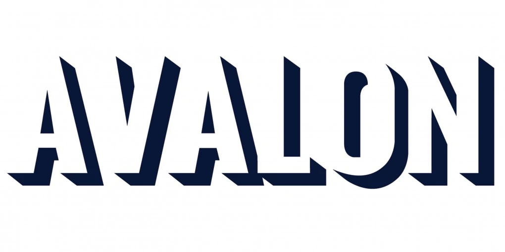 Avalon Television | Everything's Gonna Be Okay Wiki | Fandom