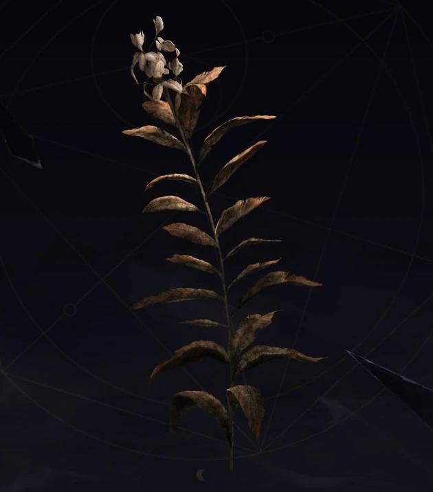 Orchid De La Vida | Evil West Wiki | Fandom