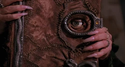 Hocus Pocus Winifred Book