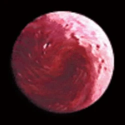 Makyo Star | The Evil Wiki | Fandom