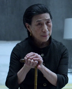 Madame Gao | Złoczyńcy Wiki | Fandom