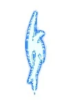 Ethereal Blades | The Evil Wiki | Fandom