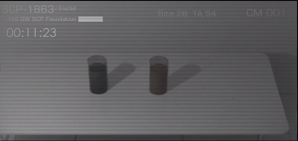 SCP-1863 | The Evil Wiki | Fandom