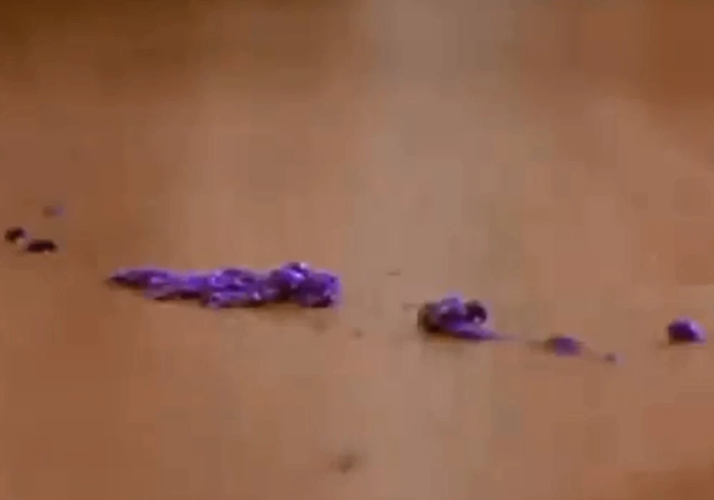 Boogey Goo | The Evil Wiki | Fandom