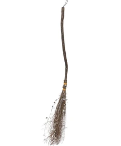 Witch's Broom | The Evil Wiki | Fandom