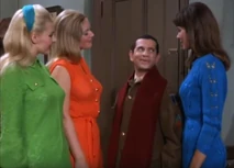 Heidi Baum (Hogan's Heroes) | The Female Villains Wiki | Fandom