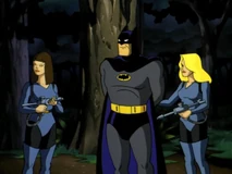 Lily and Violet (Batman: The Animated Series) | The Female Villains ...