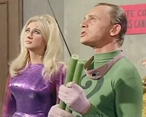 Moth (Batman) | The Female Villains Wiki | Fandom