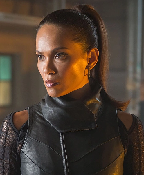 Lesley Ann Brandt Gotham