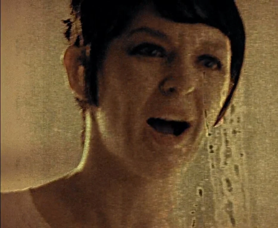 User blog:CEDJunior/Mrs. Wade (CSI: Miami) | The Female Villains Wiki ...