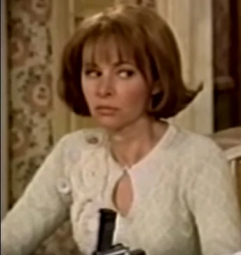 User blog:CEDJunior/Liz Pitt (The Pitts) | The Female Villains Wiki ...