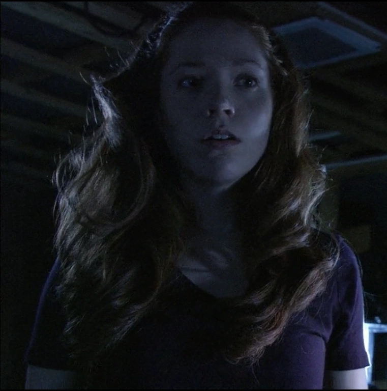 User blog:CEDJunior/Becky Wade (Second Chances) | The Female Villains ...