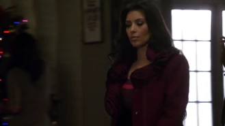 Debbie Fallon (CSI: NY) | The Female Villains Wiki | Fandom