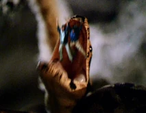 Tuatha (Charmed) | The Female Villains Wiki | Fandom