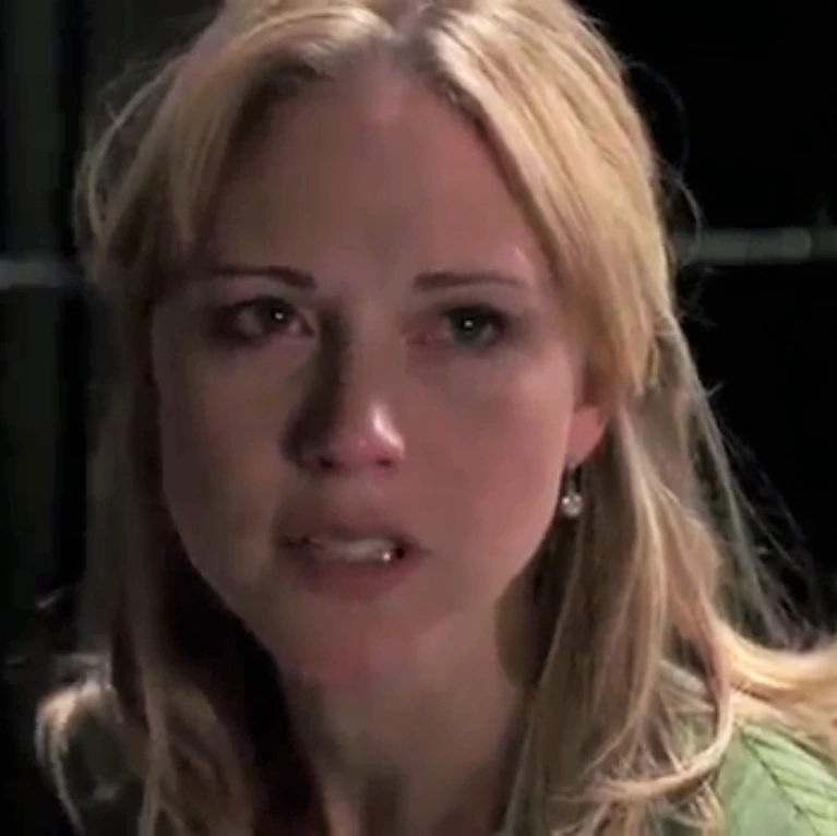 Sarah Flint (Law & Order: SVU) | The Female Villains Wiki | Fandom