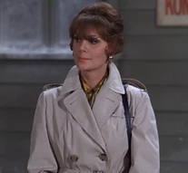 Anna Gebhart (Hogan's Heroes) | The Female Villains Wiki | Fandom