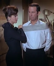 Lisa Smith (Get Smart) | The Female Villains Wiki | Fandom