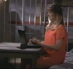 Kay Ludlow (Diagnosis Murder) | The Female Villains Wiki | Fandom