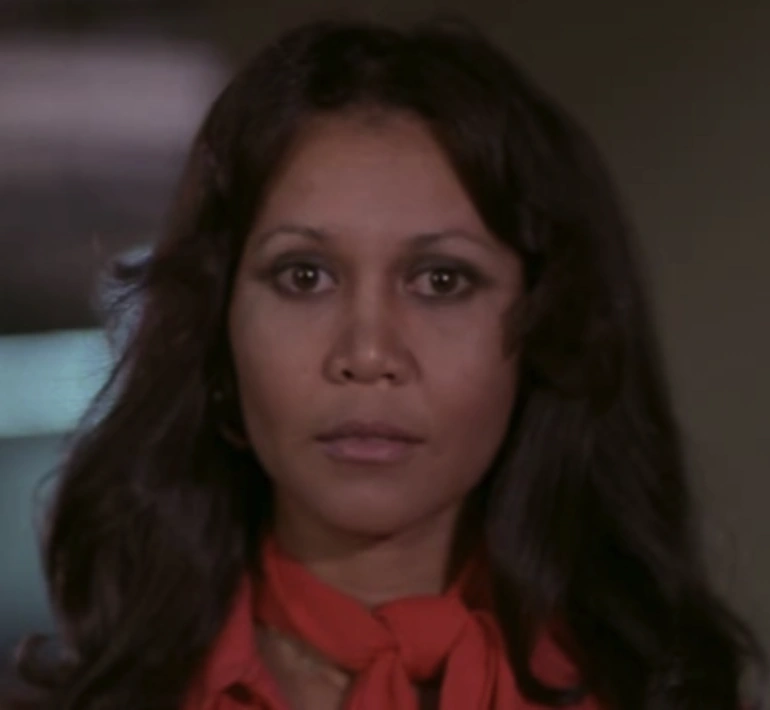 Fembots Bionic Woman