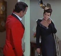 Lisa Smith (Get Smart) | The Female Villains Wiki | Fandom
