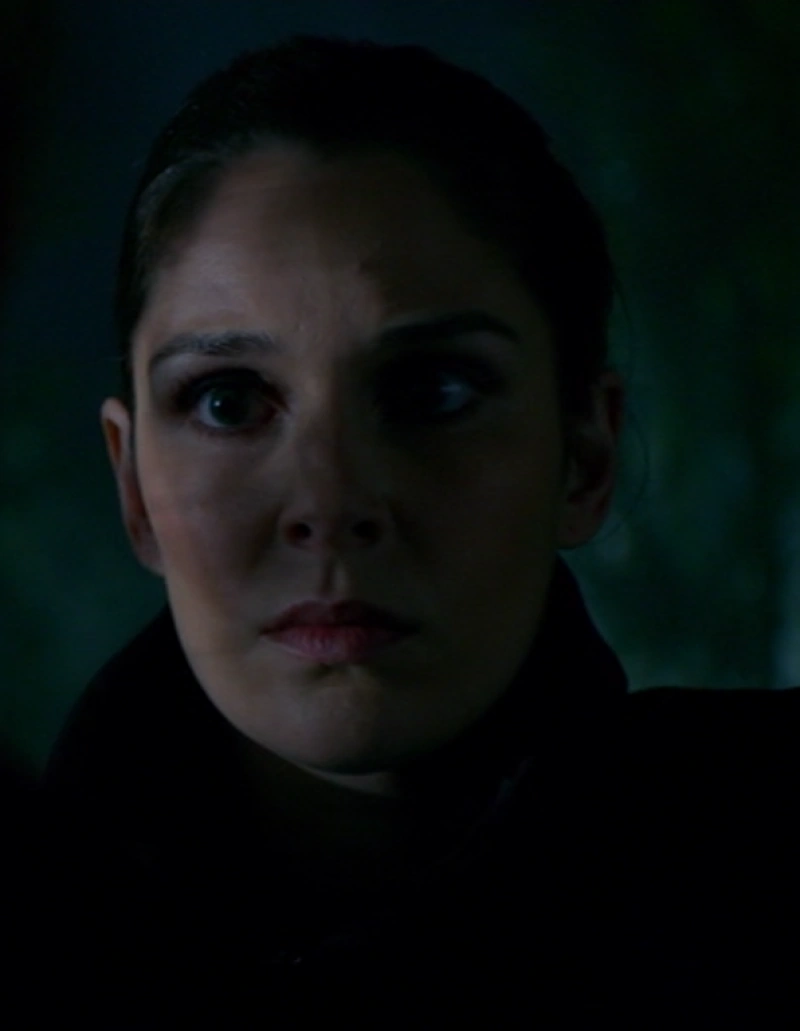 Elena Markov (Castle) | The Female Villains Wiki | Fandom