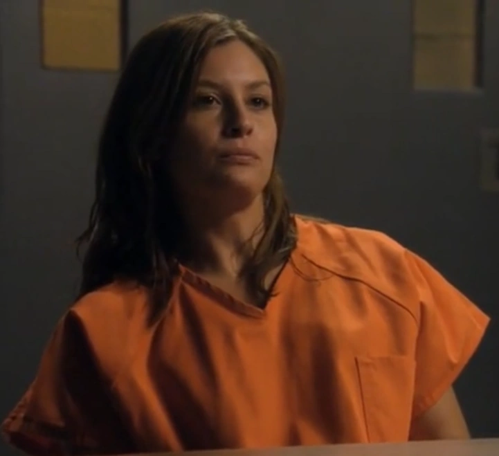 Allison Scott (CSI: NY) | The Female Villains Wiki | Fandom