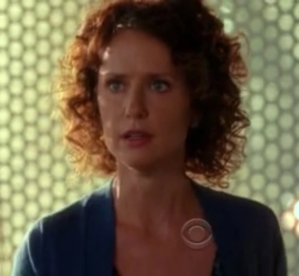User blog:CEDJunior/Amy Wells (CSI: Miami) | The Female Villains Wiki ...