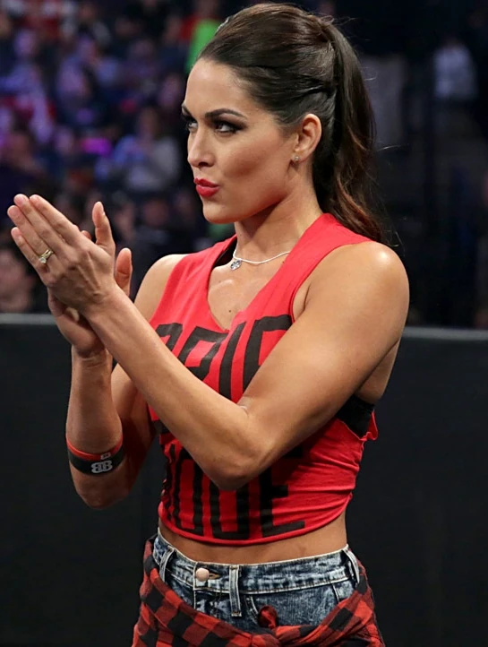 Wwe Brie Mode
