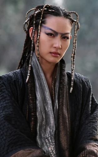 Tuo-Tuo (14 Blades) | The Female Villains Wiki | Fandom
