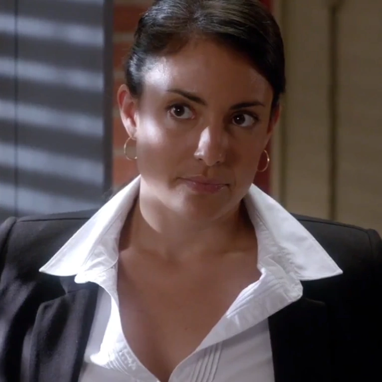 Renee Johnstone (Republic of Doyle) | The Female Villains Wiki | Fandom