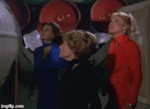 User blog:Doalfe/Peggy Callahan (The Bionic Woman) | The Female ...