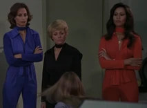 User blog:Doalfe/Peggy Callahan (The Bionic Woman) | The Female ...