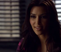 Debbie Fallon (CSI: NY) | The Female Villains Wiki | Fandom