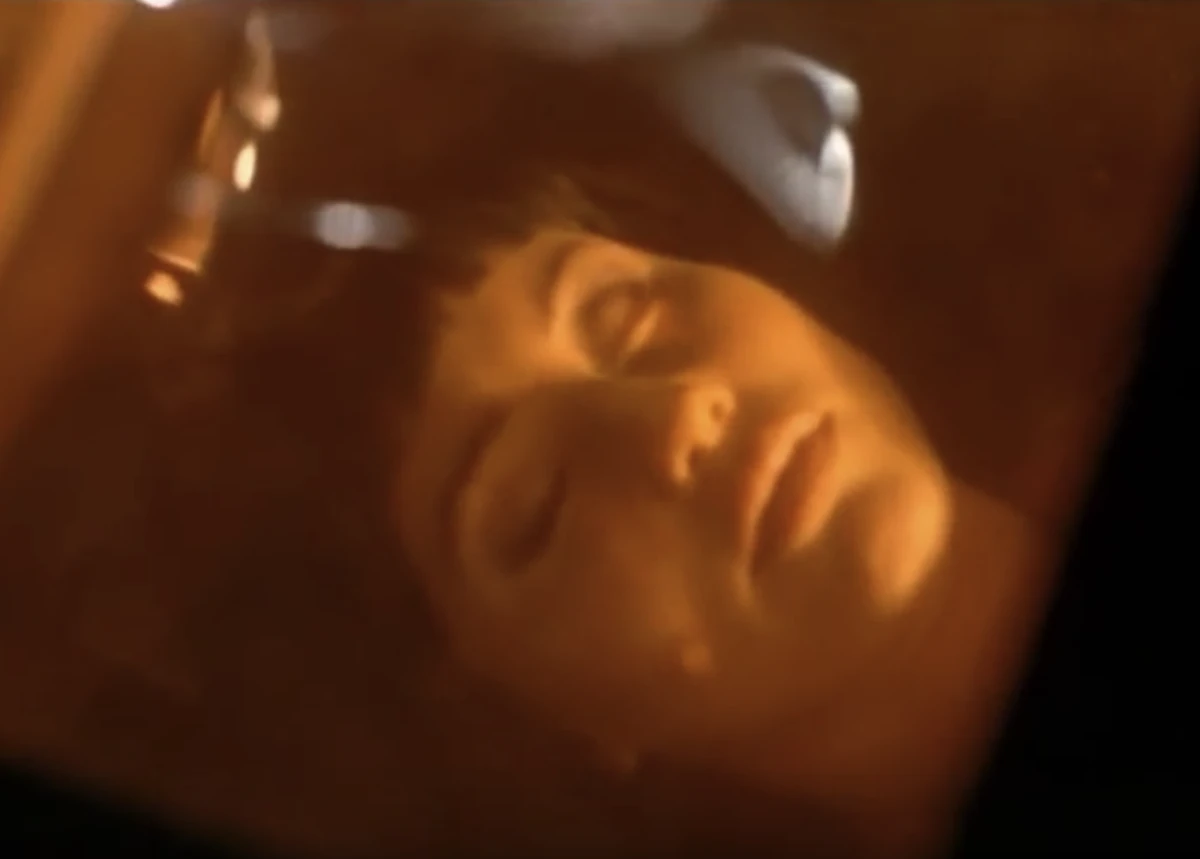 User blog:Doalfe/Zee 4R (Sleeping Dogs) | The Female Villains Wiki | Fandom