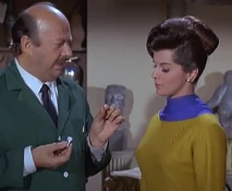 Lisa Smith (Get Smart) | The Female Villains Wiki | Fandom