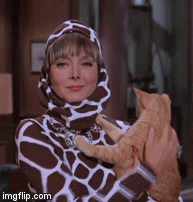 Marsha Queen of Diamonds (Batman) | The Female Villains Wiki | Fandom