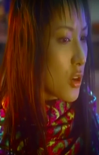 Sue Chow (New Police Story) | The Female Villains Wiki | Fandom