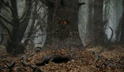 Cabin In The Woods Angry Molesting Tree