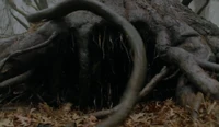 Demonic Tree | Evil Dead Wiki | Fandom