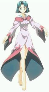 Karin | Evil Zone Wiki | Fandom