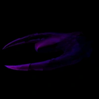 Wraith Cloaking Device | EVN Wiki | Fandom