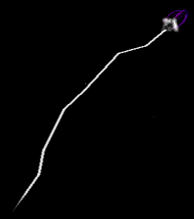 Wraith Graviton Beam (Adult) | EVN Wiki | Fandom