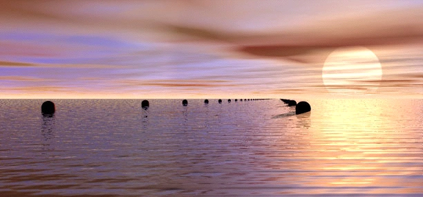 Xyon | EVN Wiki | Fandom