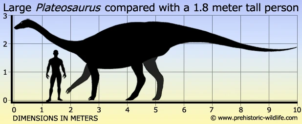 Plateosaurus | Wikia Evolución de animales | Fandom