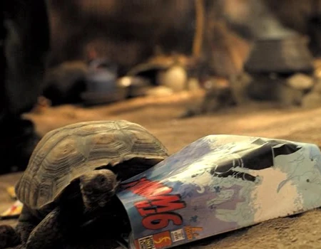 Zoopathy | Evolution Activated Wiki | Fandom