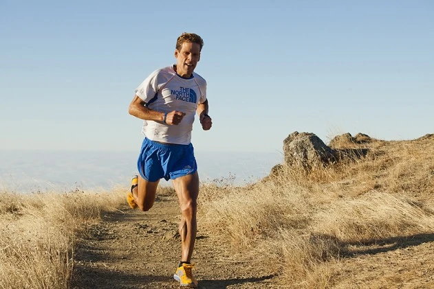 Reactive Evolution | Evolution Activated Wiki | Fandom