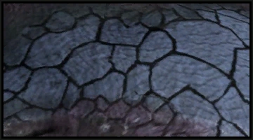 Wendigo (Wraith) - Official Evolve Wiki