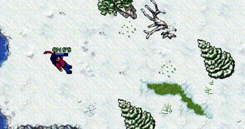 Druid | Evotronus Wiki | Fandom